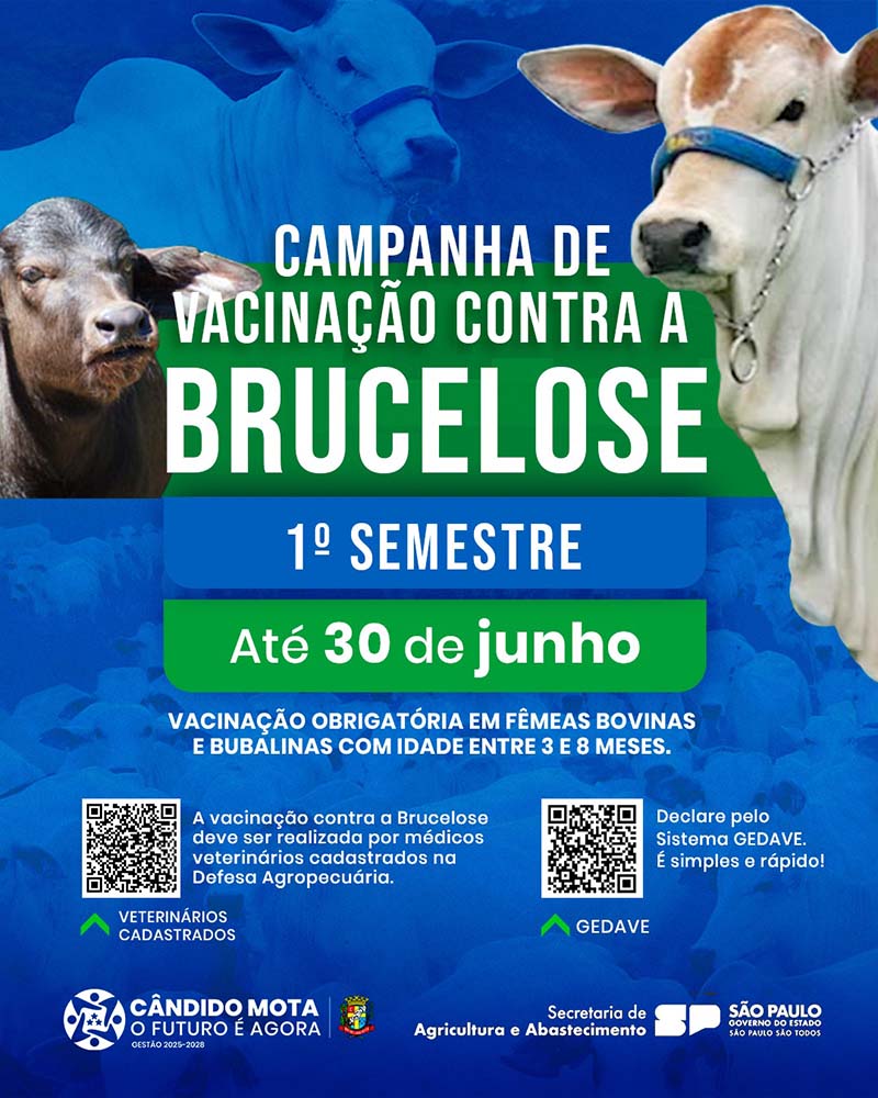 Prefeitura de Cândido Mota alerta produtores para o início da vacinação ...